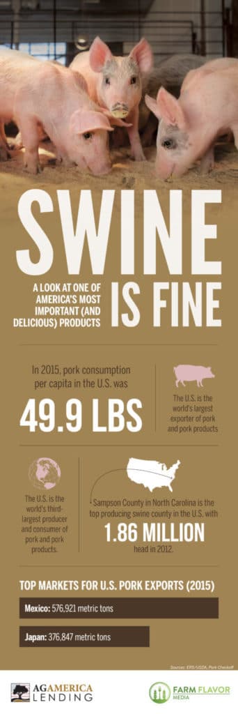 Swine Industry and Custom Swine Farm Loans | AgAmerica