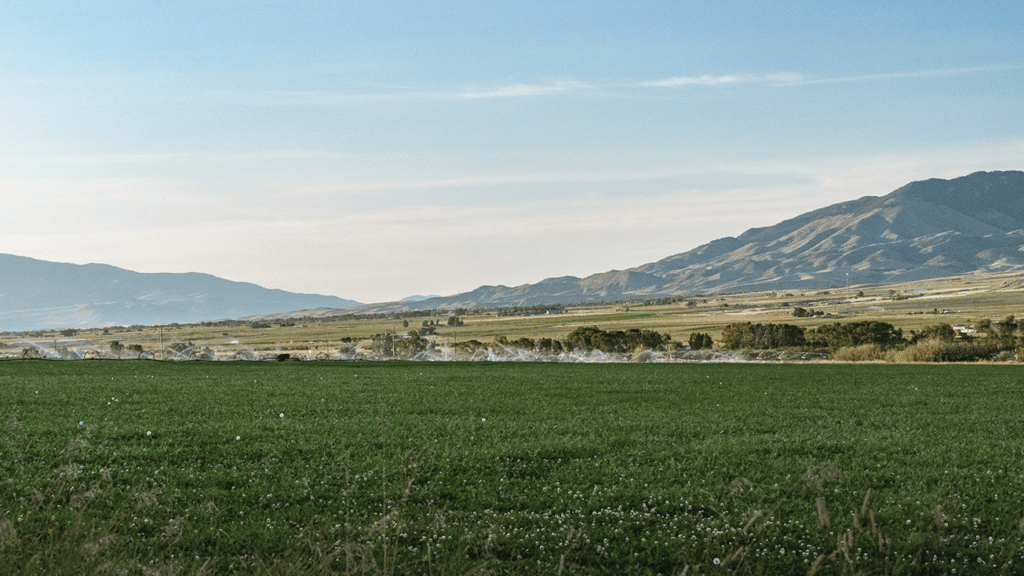 Stay Informed with Expert Insights - Agriculture Industry Blog | AgAmerica
