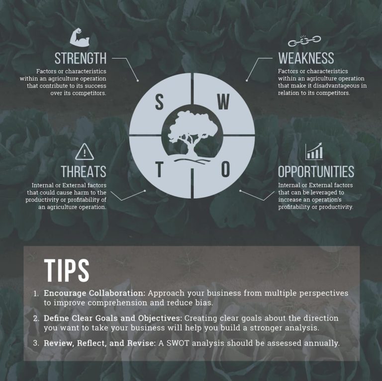 SWOT Analysis on Your Farm Operation | AgAmerica