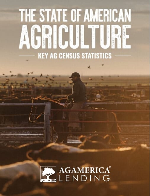 The State of American Agriculture Infographic | AgAmerica