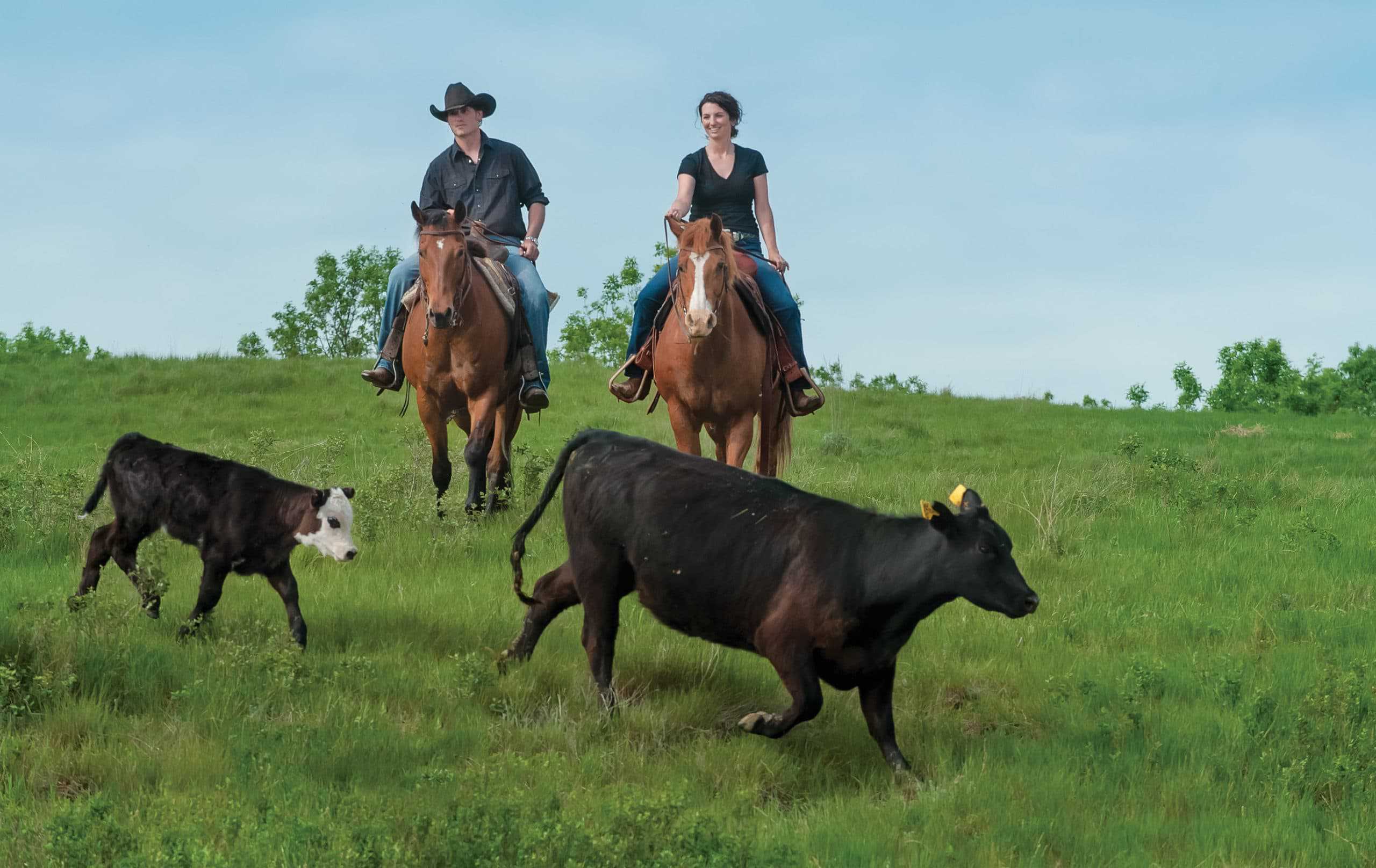 The Millennial Farmer & The Future of Farming | AgAmerica