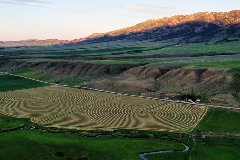 Ag Farm Lending Resources for Farm Operators | AgAmerica