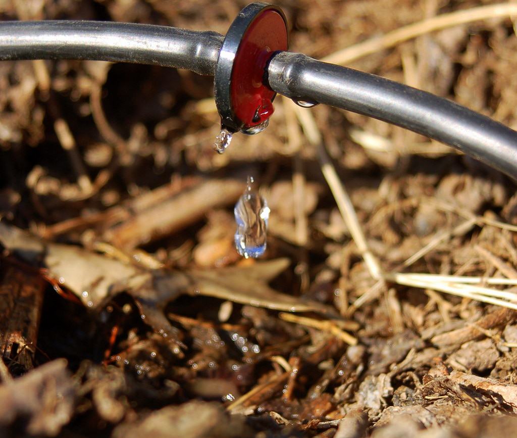 Drop Irrigation Technology & Farm Lending for Ag | AgAmerica