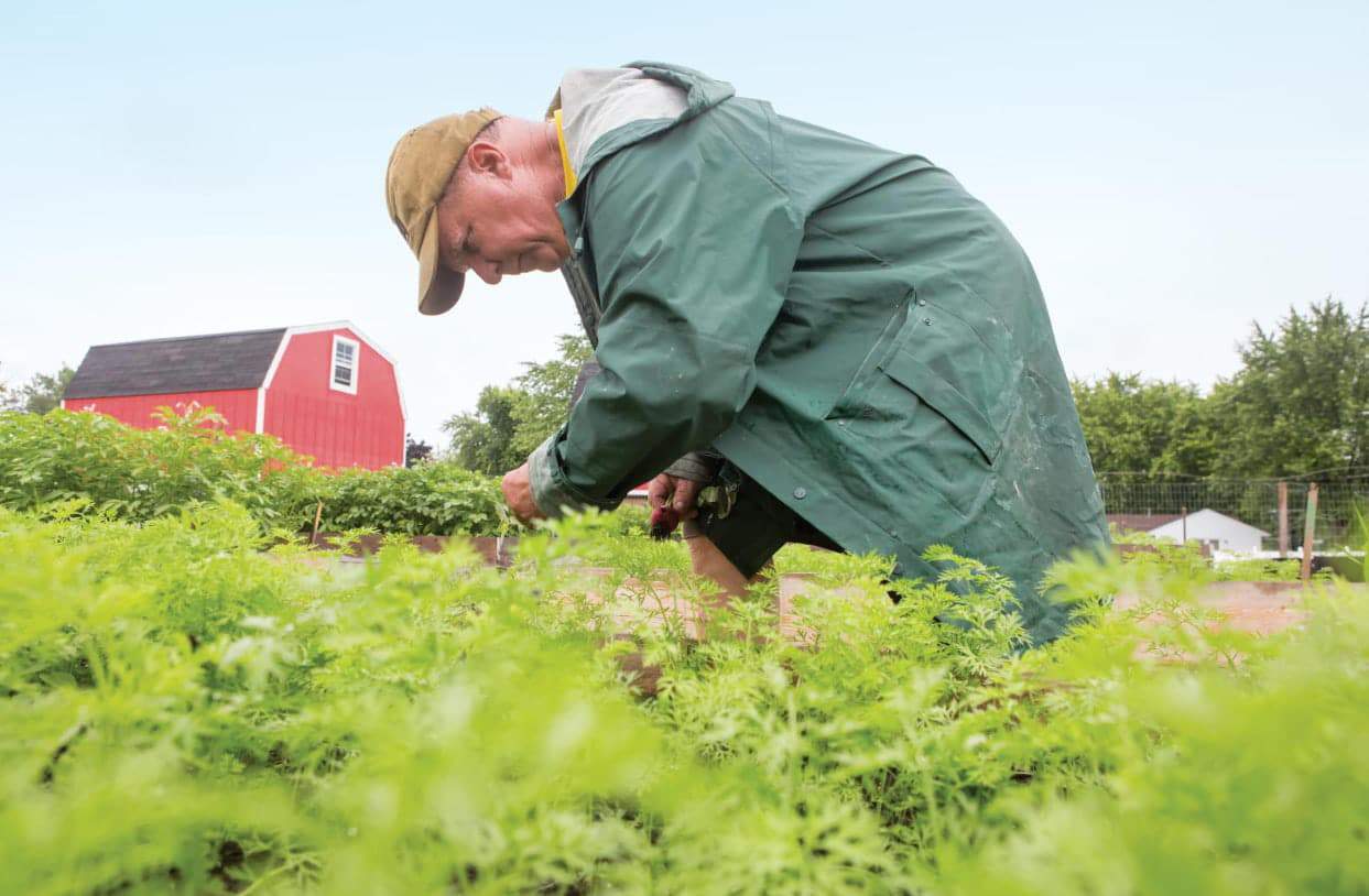 Best Practices for Summertime Farming | AgAmerica