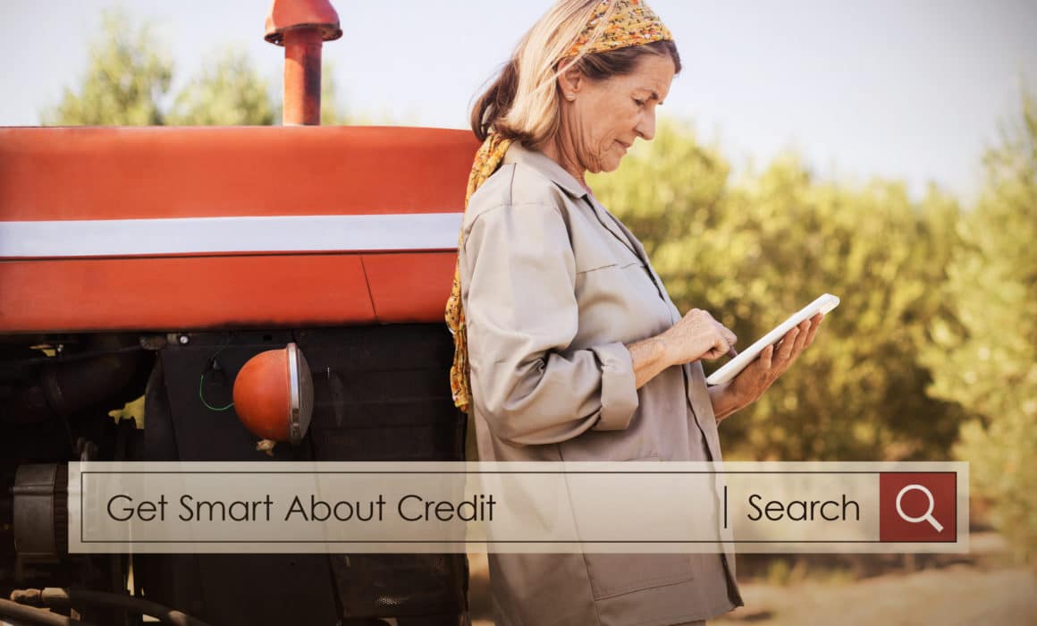 Agricultural Land Loans: Credit Tips | AgAmerica