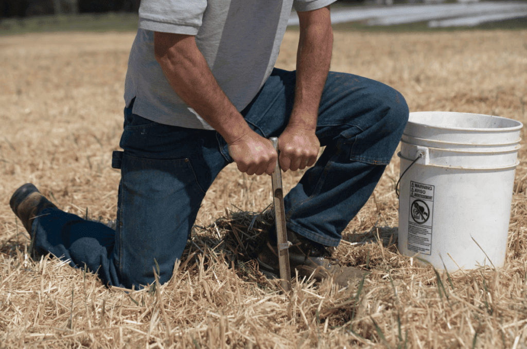 Our Top Springtime Tips for Seasonal Farm Planning | AgAmerica