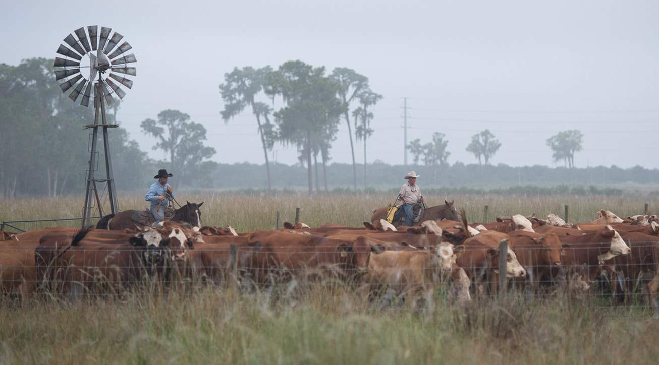 Veteran Achieves Dream of Owning a Cattle Ranch | AgAmerica