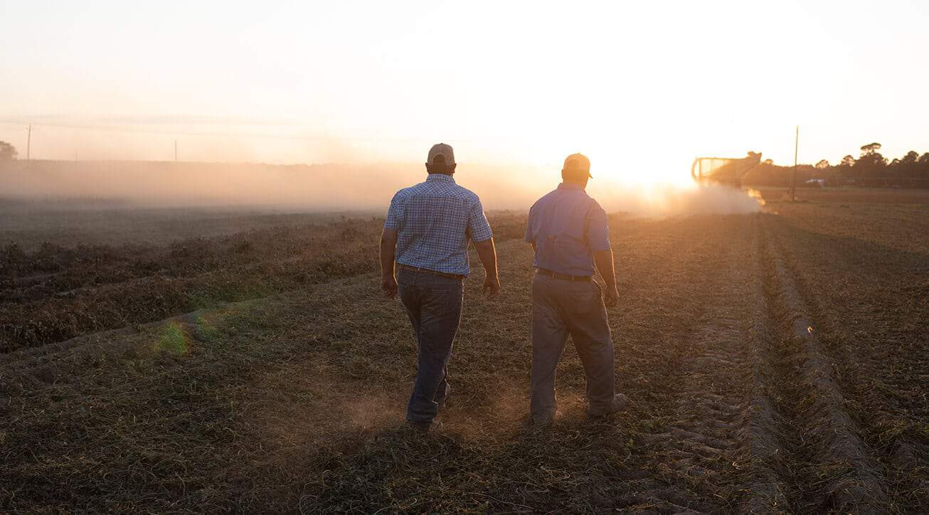 Covid-19 and the Agricultural Industry | AgAmerica