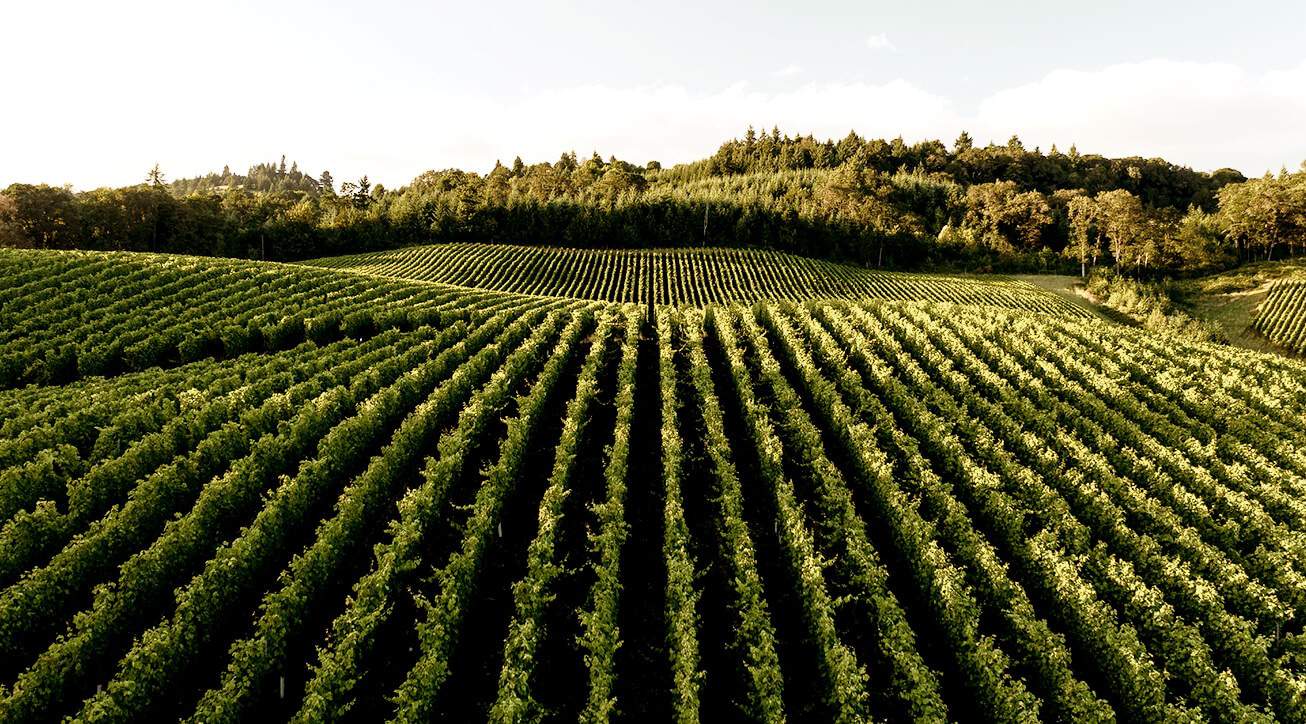 How Soil Types Affect Ag Land Values | AgAmerica