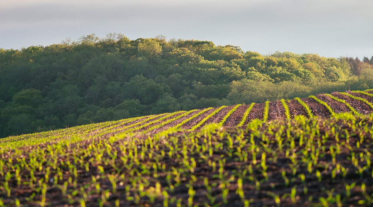 Wisconsin Row Crop Farmer Saves w/ $2.3MM Refi | AgAmerica