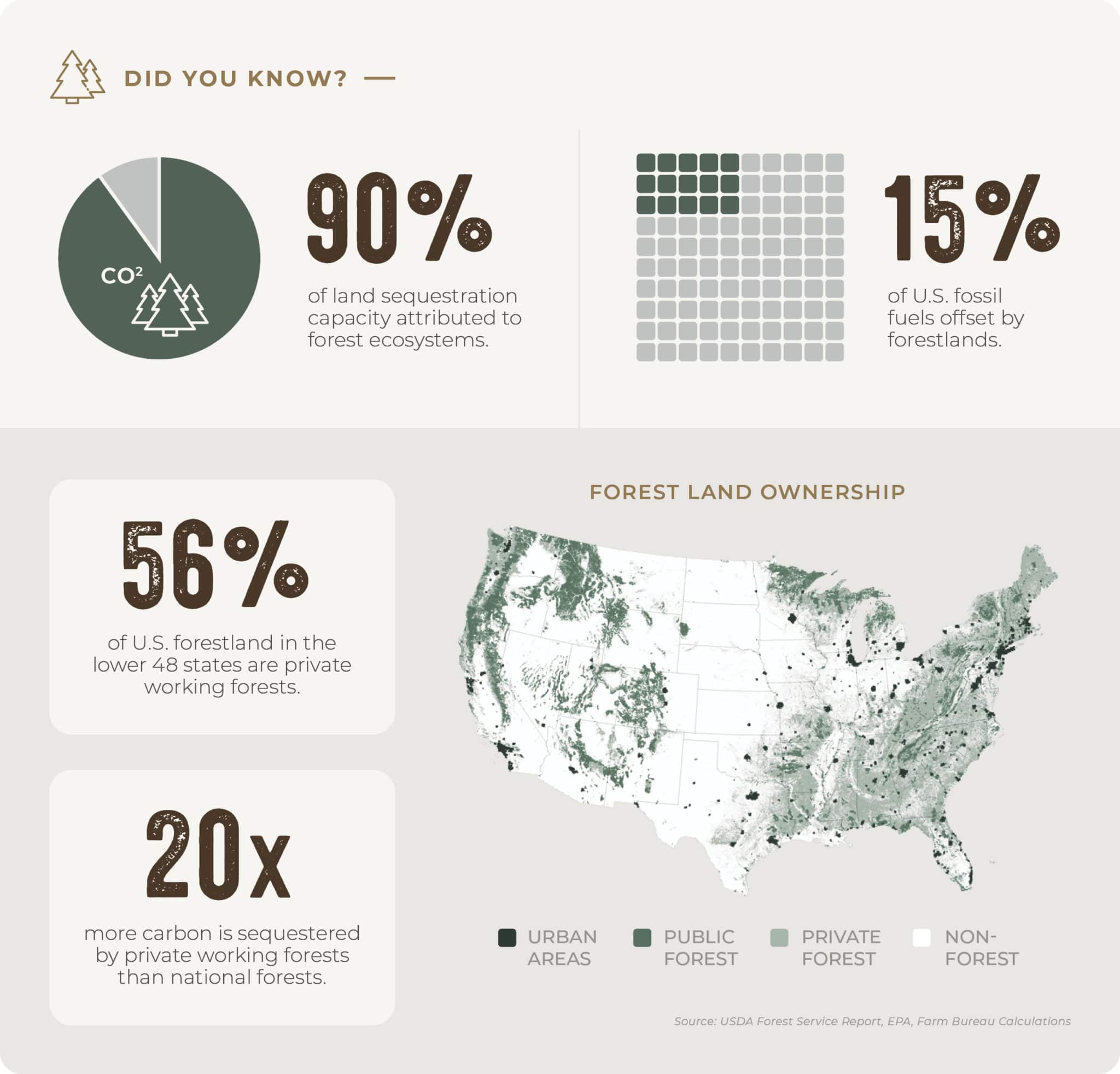 Forest Management and Forest Landowners | AgAmerica