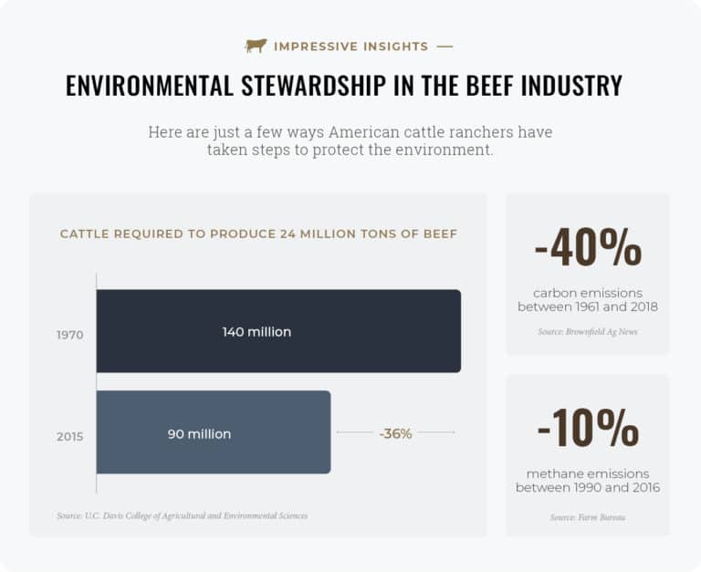 Celebrating American Cattle Ranchers - Beef Month | AgAmerica