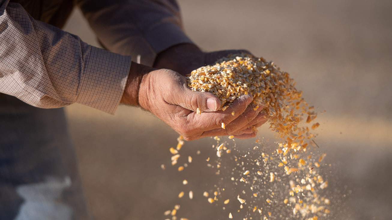 Reduce Farm Input Costs: Farm Financing Options | AgAmerica