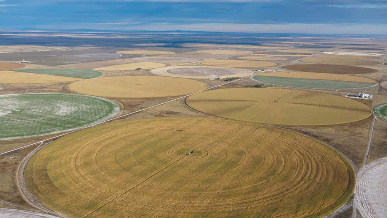 Multigenerational Farm Expands Family Legacy | AgAmerica