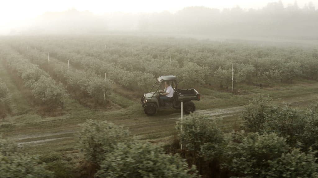 Top Five Tips to Help Farmers Prepare for a Natural Disaster | AgAmerica