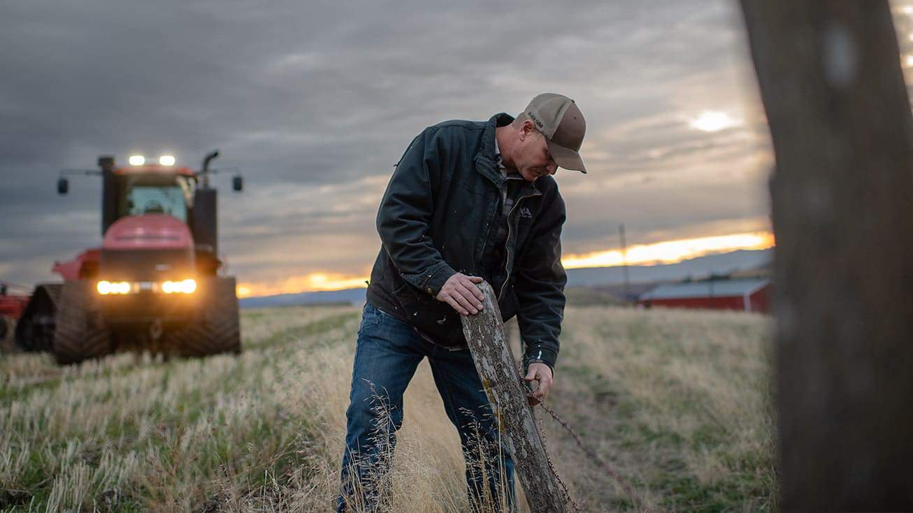 USDA Report Highlights: Farm Income in 2021 | AgAmerica