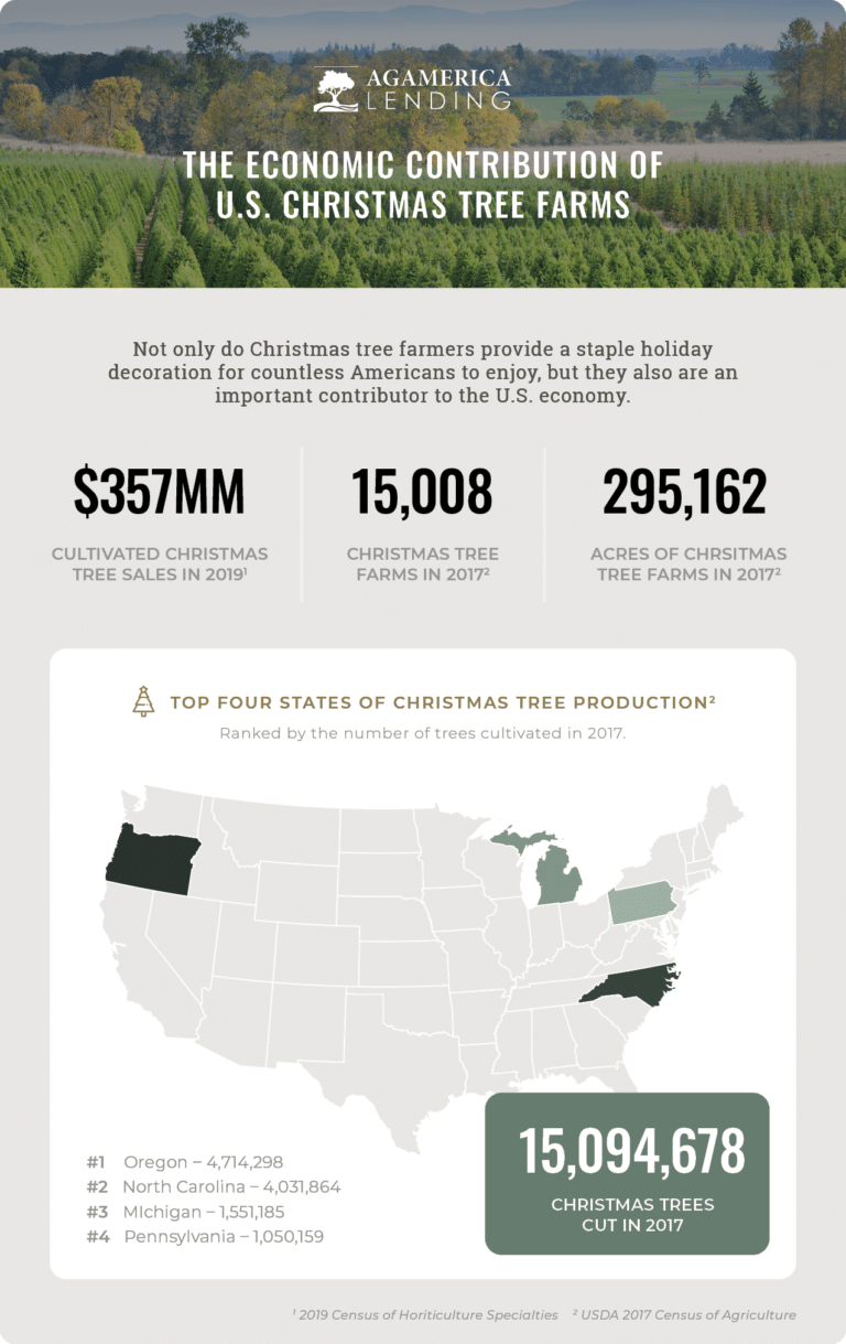 Christmas Tree Farm Loan | AgAmerica