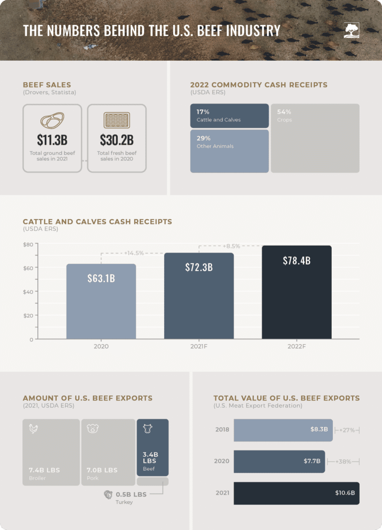 Celebrating American Cattle Ranchers - Beef Month | AgAmerica