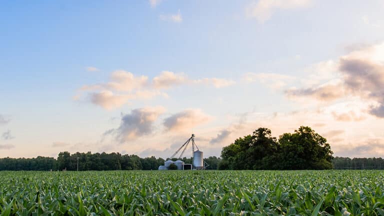 Role of FFA & 4-H on the Family Farm | AgAmerica