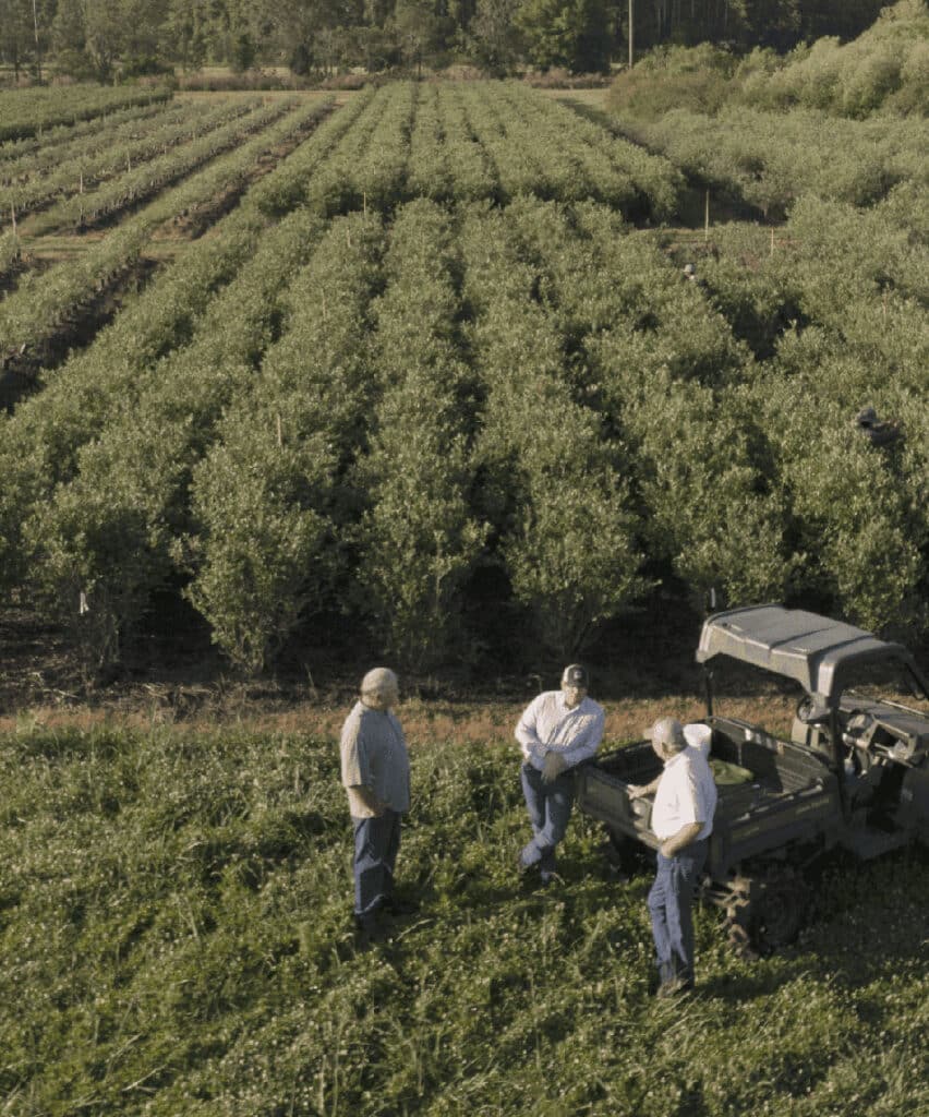 Expert Agricultural Advisory Services | Enhance Your Agribusiness ...